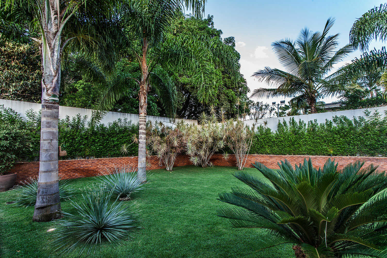 Jardim AA – Depieri Paisagismo – Escritório de Paisagismo em Brasília-DF