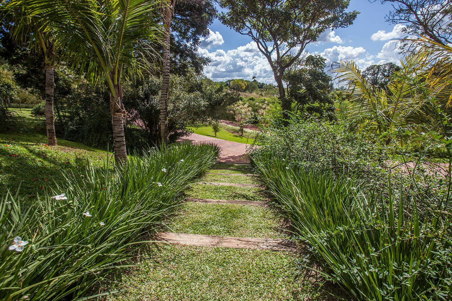 Jardim AS – Depieri Paisagismo – Escritório de Paisagismo em Brasília-DF