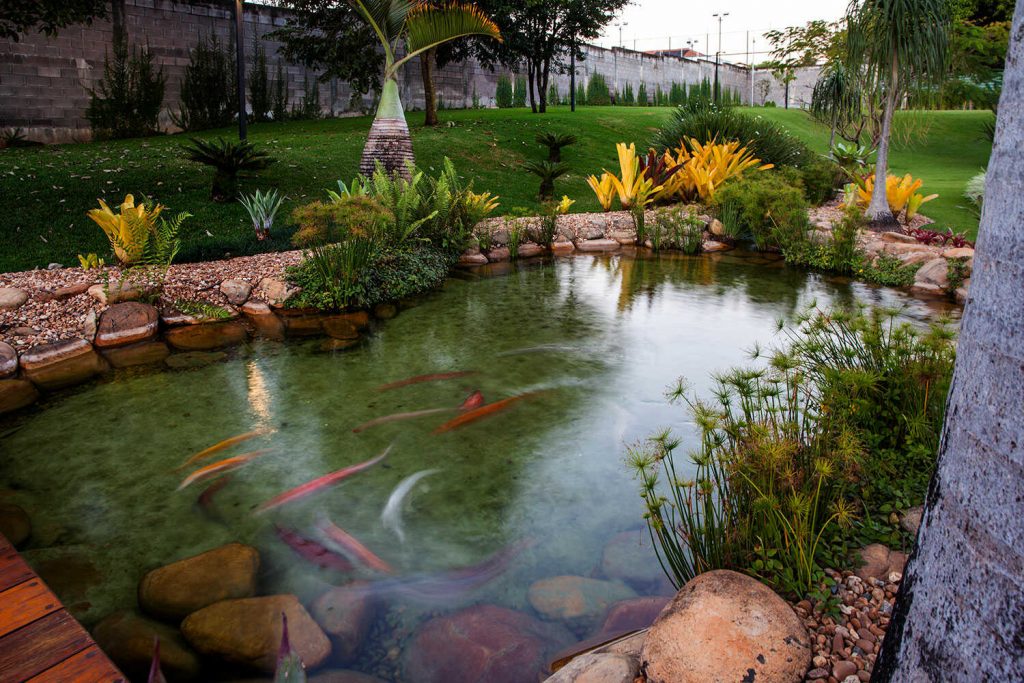Jardins – Depieri Paisagismo – Escritório de Paisagismo em Brasília-DF
